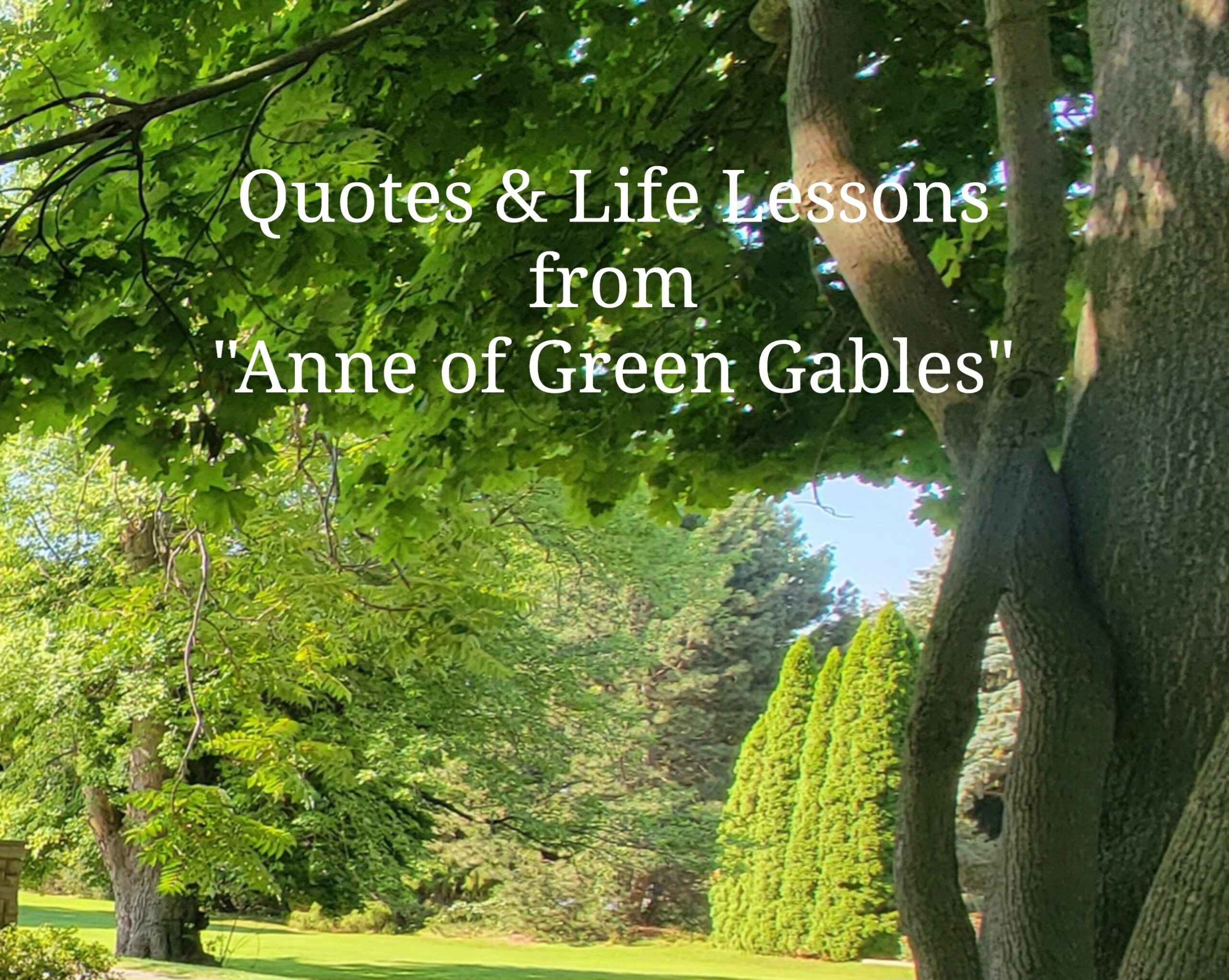 Quotes From Anne Of Green Gables Nurture Happiness Today