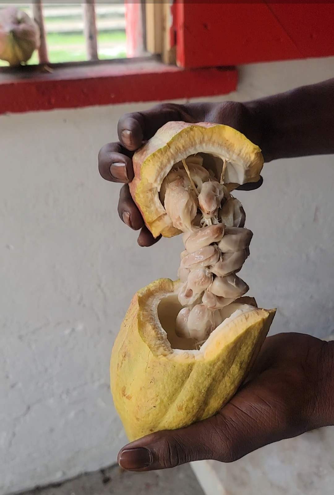 First Time in Grenada? Our List of Must Eat Foods! - Nurture Happiness ...
