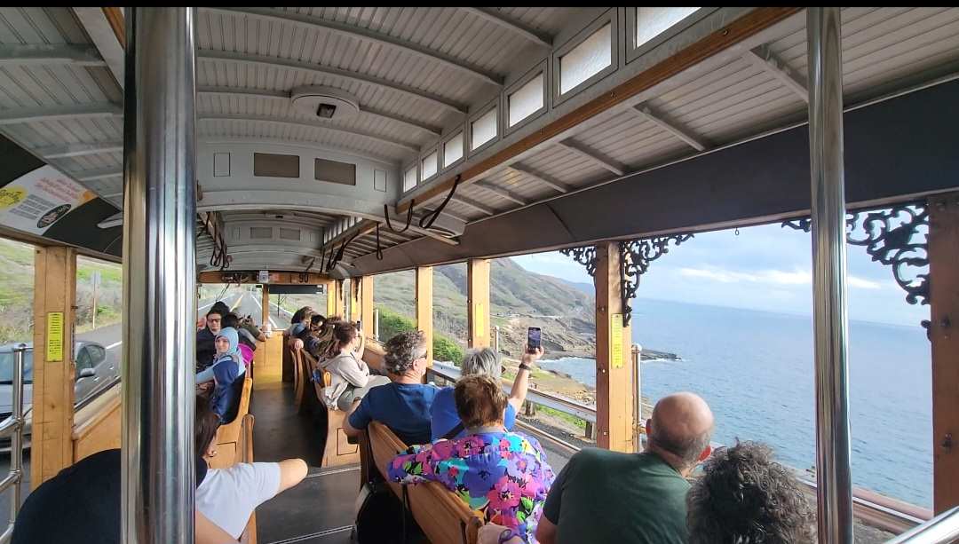 Waikiki Trolley Blue Line For A Great Hop-On Hop-Off Tour - Nurture ...